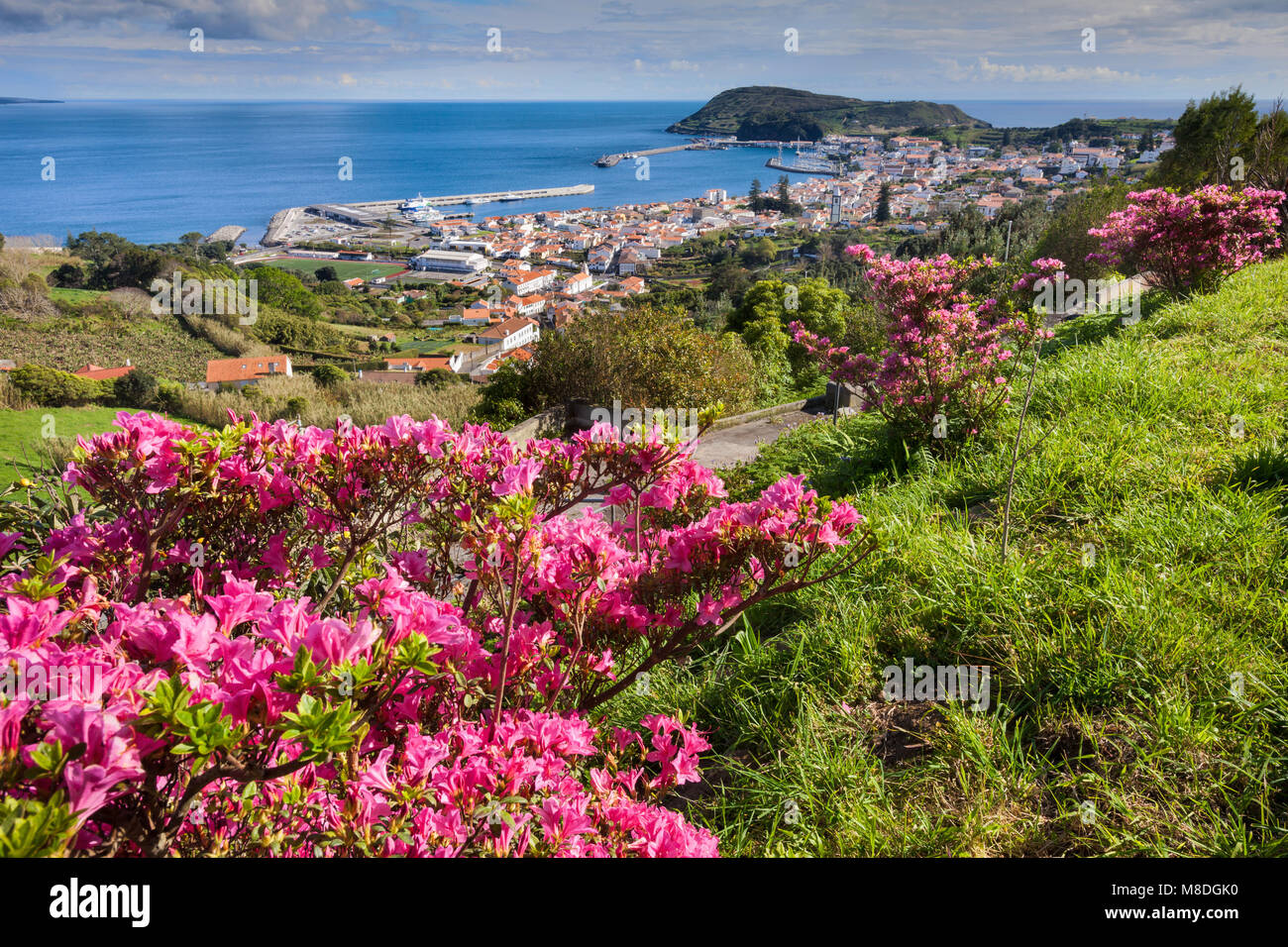 Azoren horta hi-res stock photography and images - Alamy