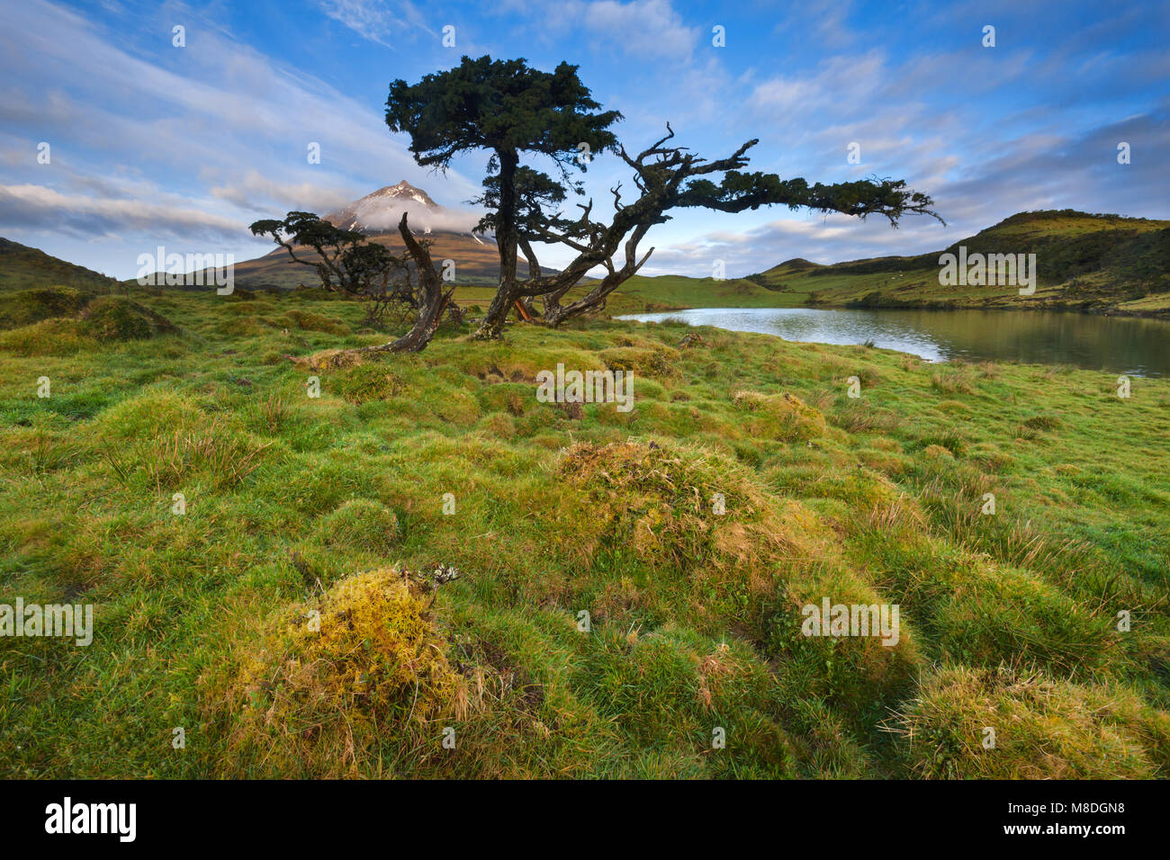 Lake lagoa capitao pico hi-res stock photography and images - Alamy