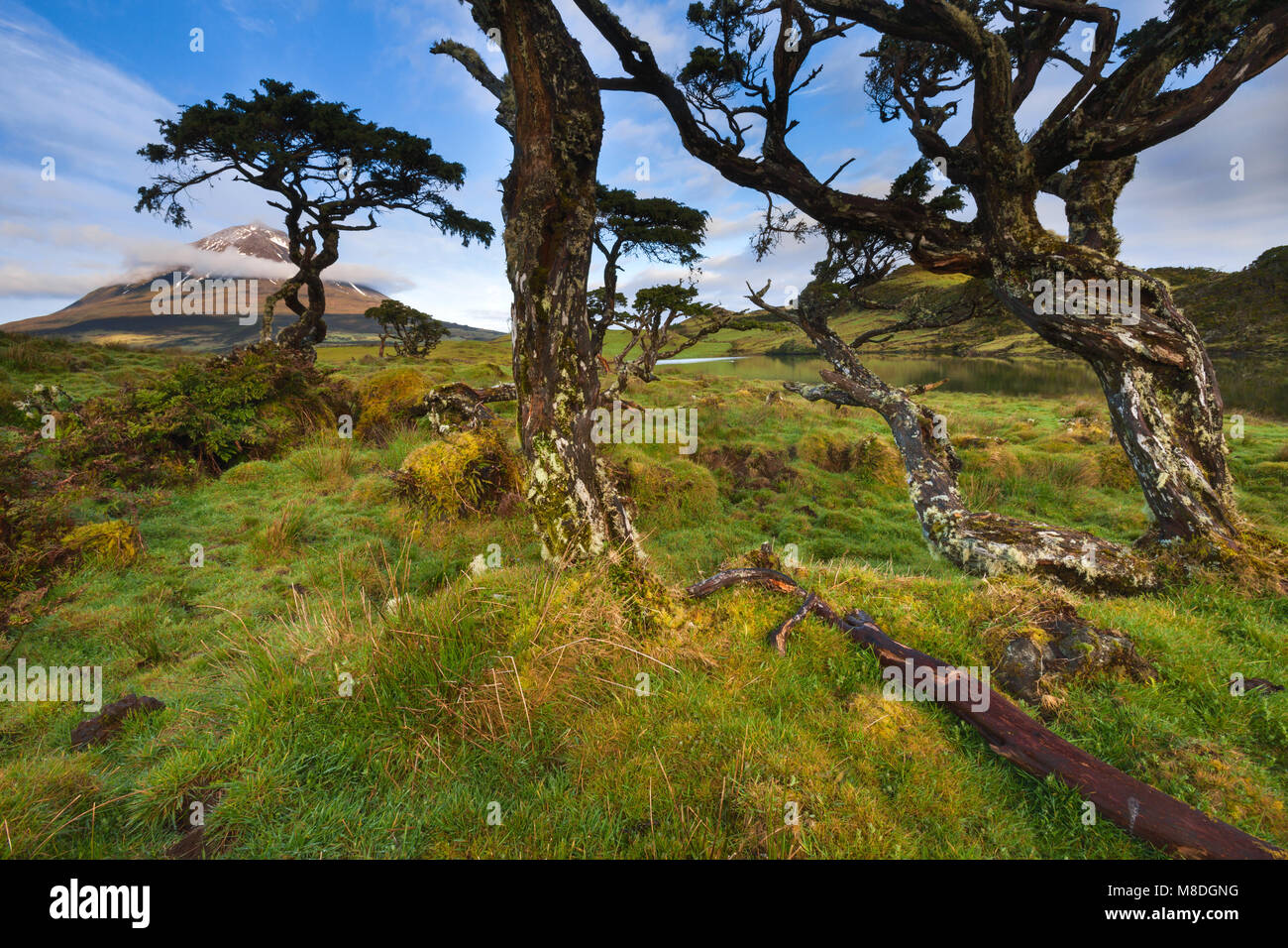 Lake lagoa capitao pico hi-res stock photography and images - Alamy