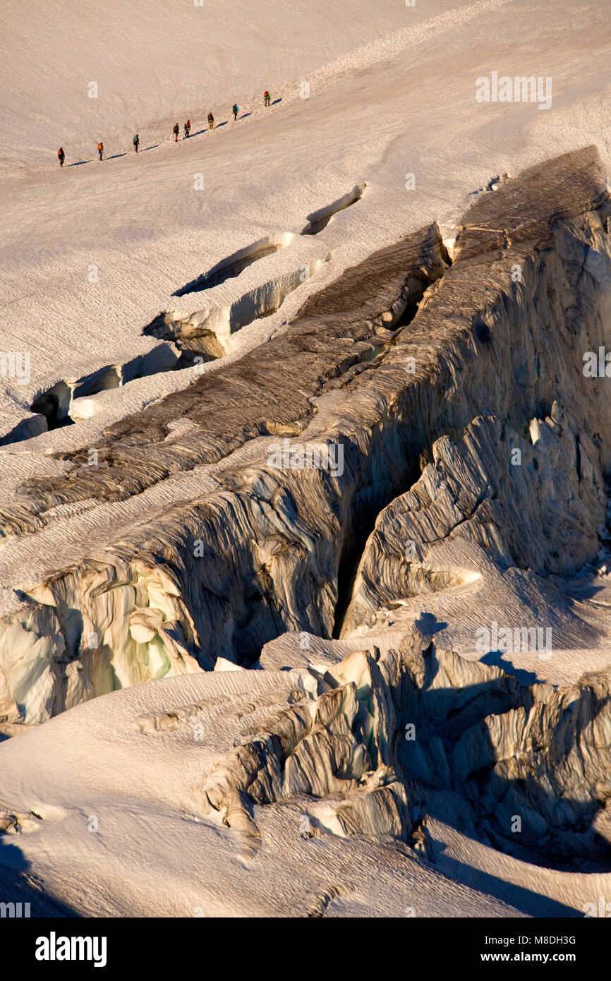 Steingletscher hi-res stock photography and images - Alamy