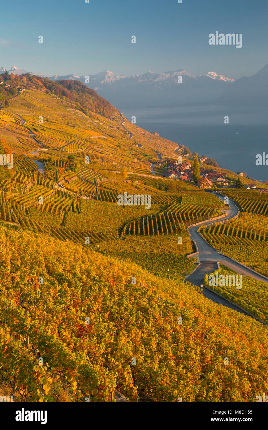 Reben hi-res stock photography and images - Alamy