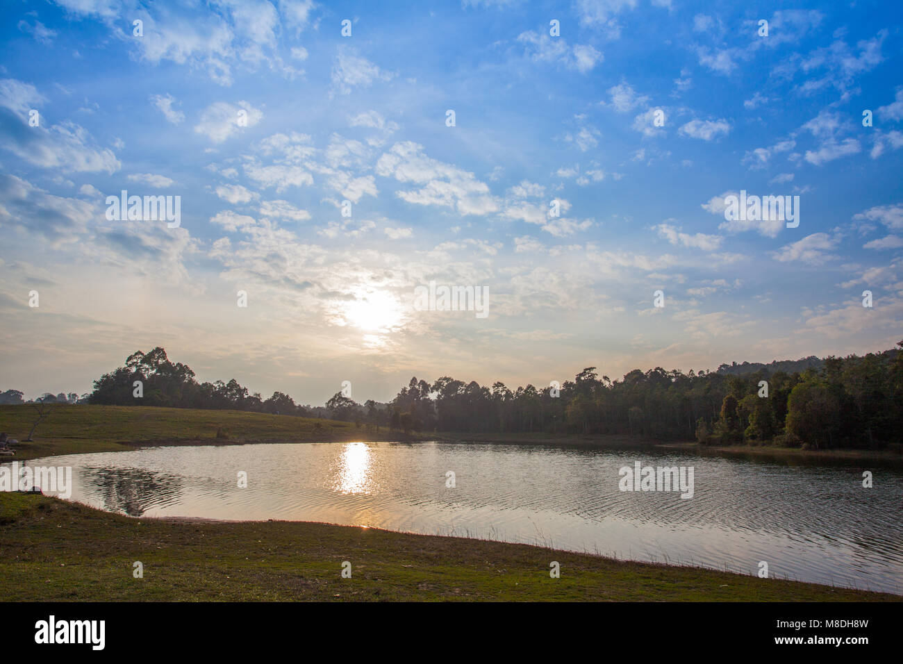 red leaves begin blossom in the spring season at Kao Yai National Park ...