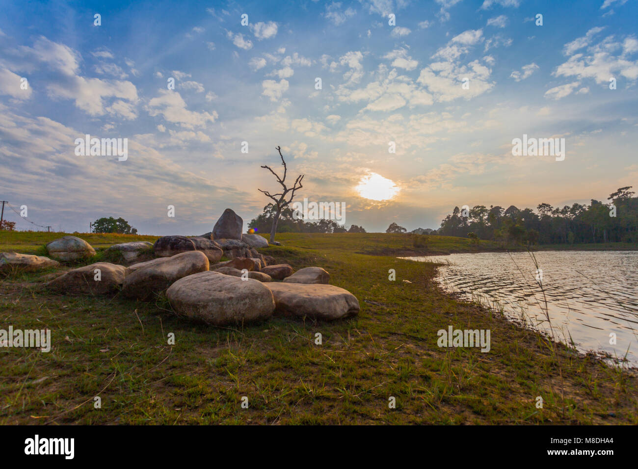 red leaves begin blossom in the spring season at Kao Yai National Park ...