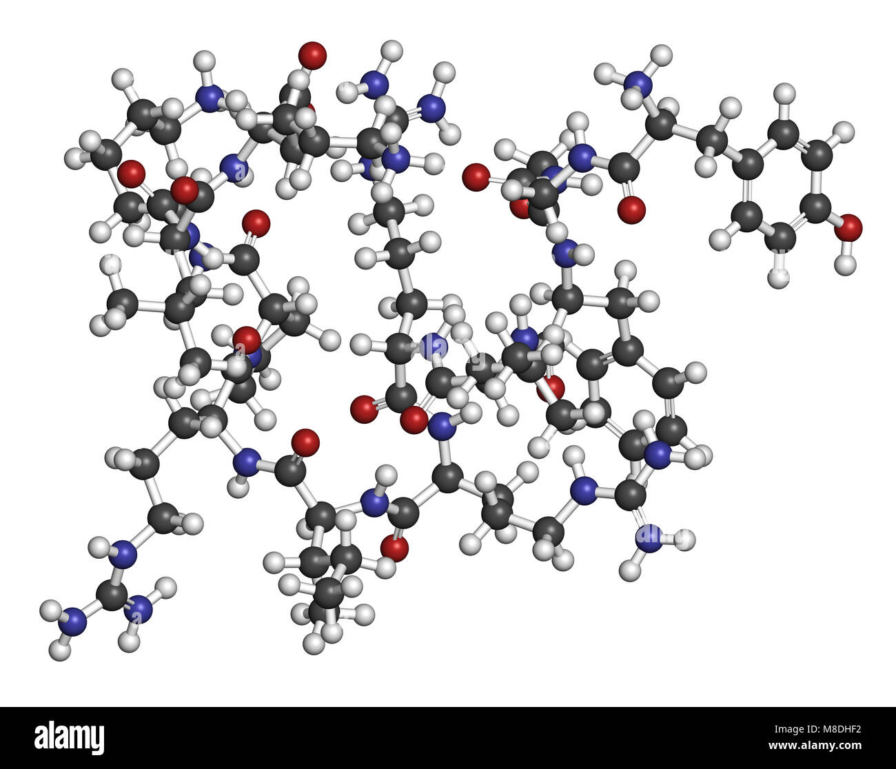 Dynorphin a endogenous opioid peptide molecule. 3D rendering. Atoms are ...