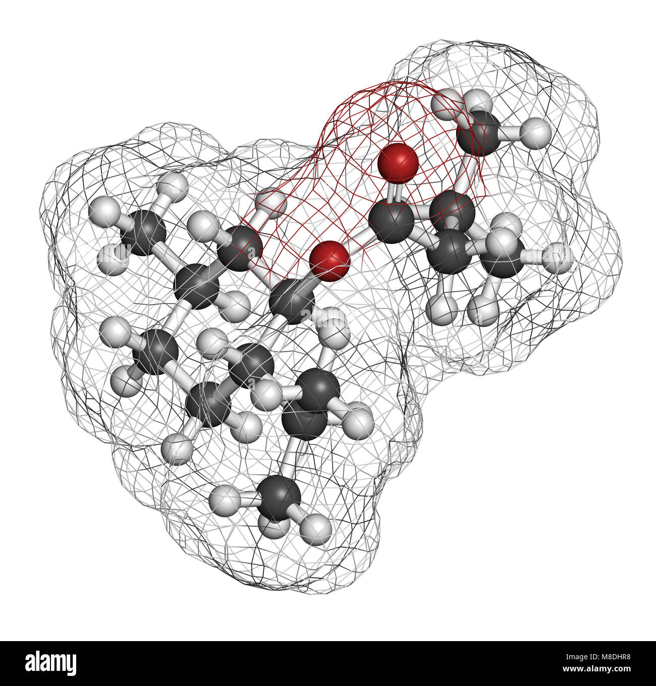 Menthyl isovalerate drug molecule. 3D rendering. Atoms are represented ...
