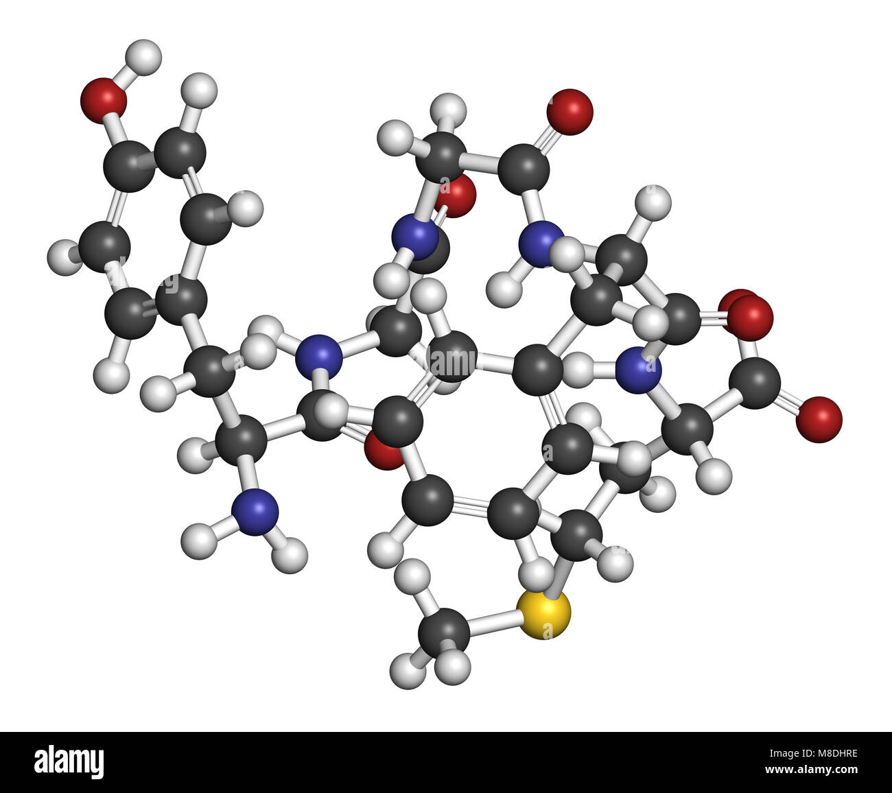 Met-enkephalin endogenous opioid peptide molecule. 3D rendering. Atoms ...