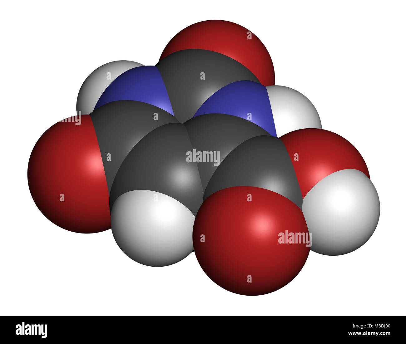 Orotic acid molecule. 3D rendering. Atoms are represented as spheres ...
