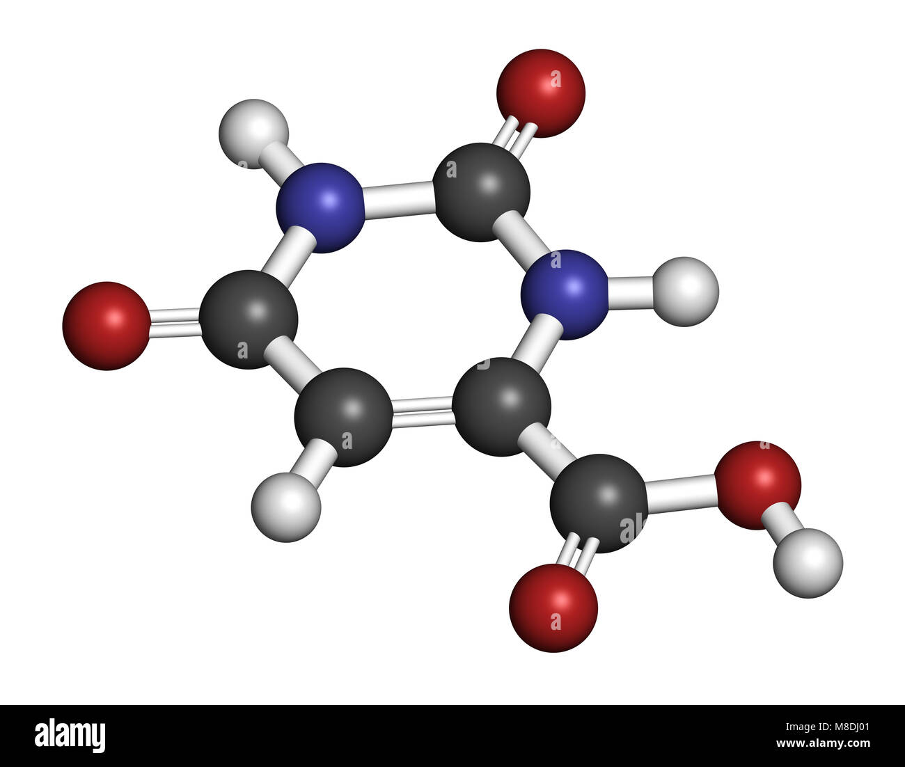 Orotic acid molecule. 3D rendering. Atoms are represented as spheres ...