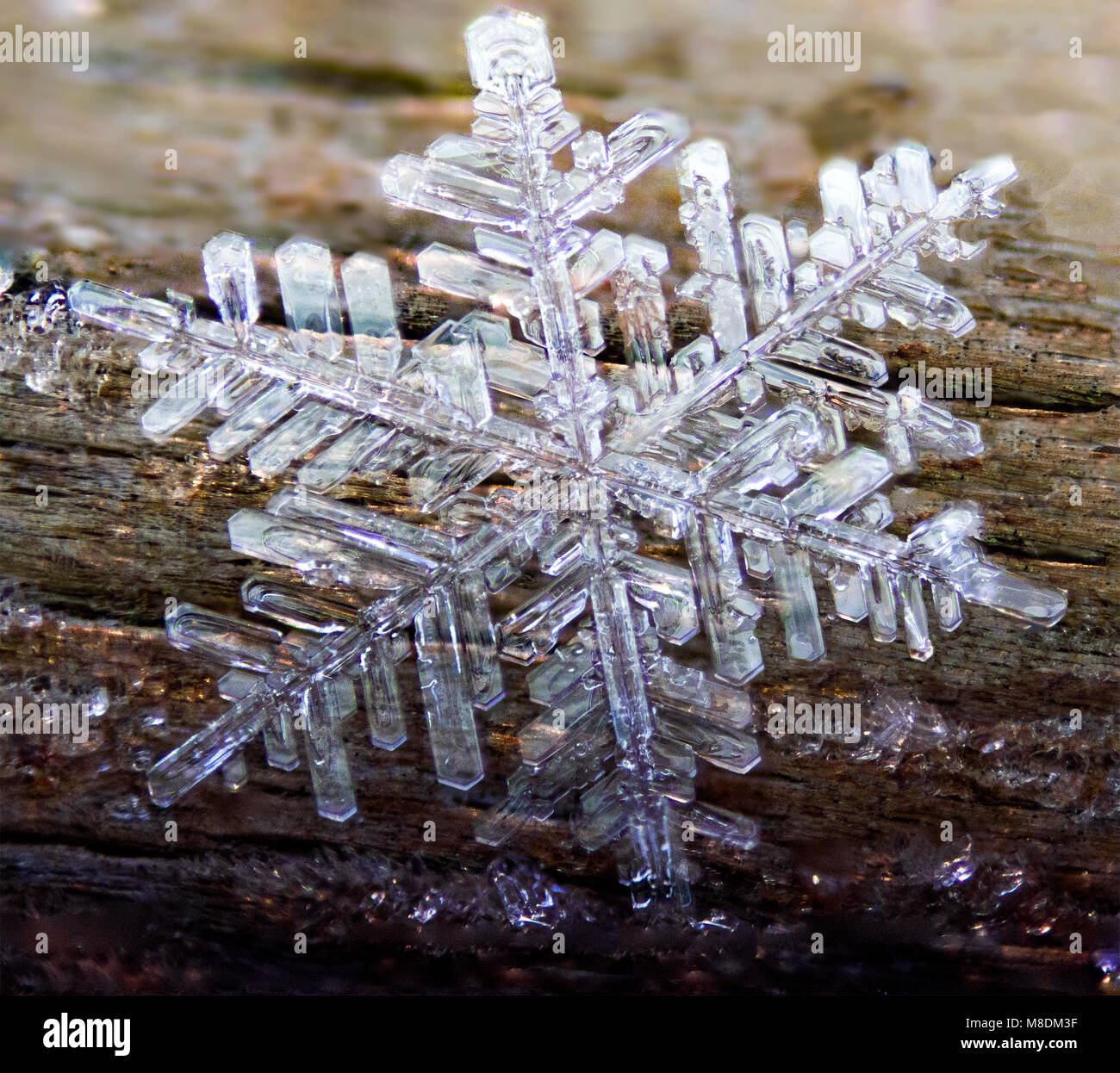 Hexagonal frozen crystal formed from hoar frost Stock Photo - Alamy