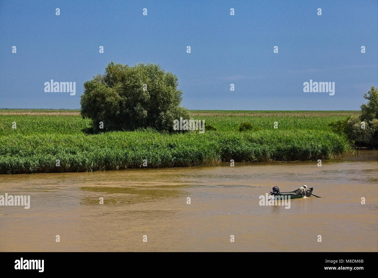 DANUBE DELTA LANDSCAPE NEAR CRISAN DOWNSTREAM OF TULCEA ON THE DANUBE ...