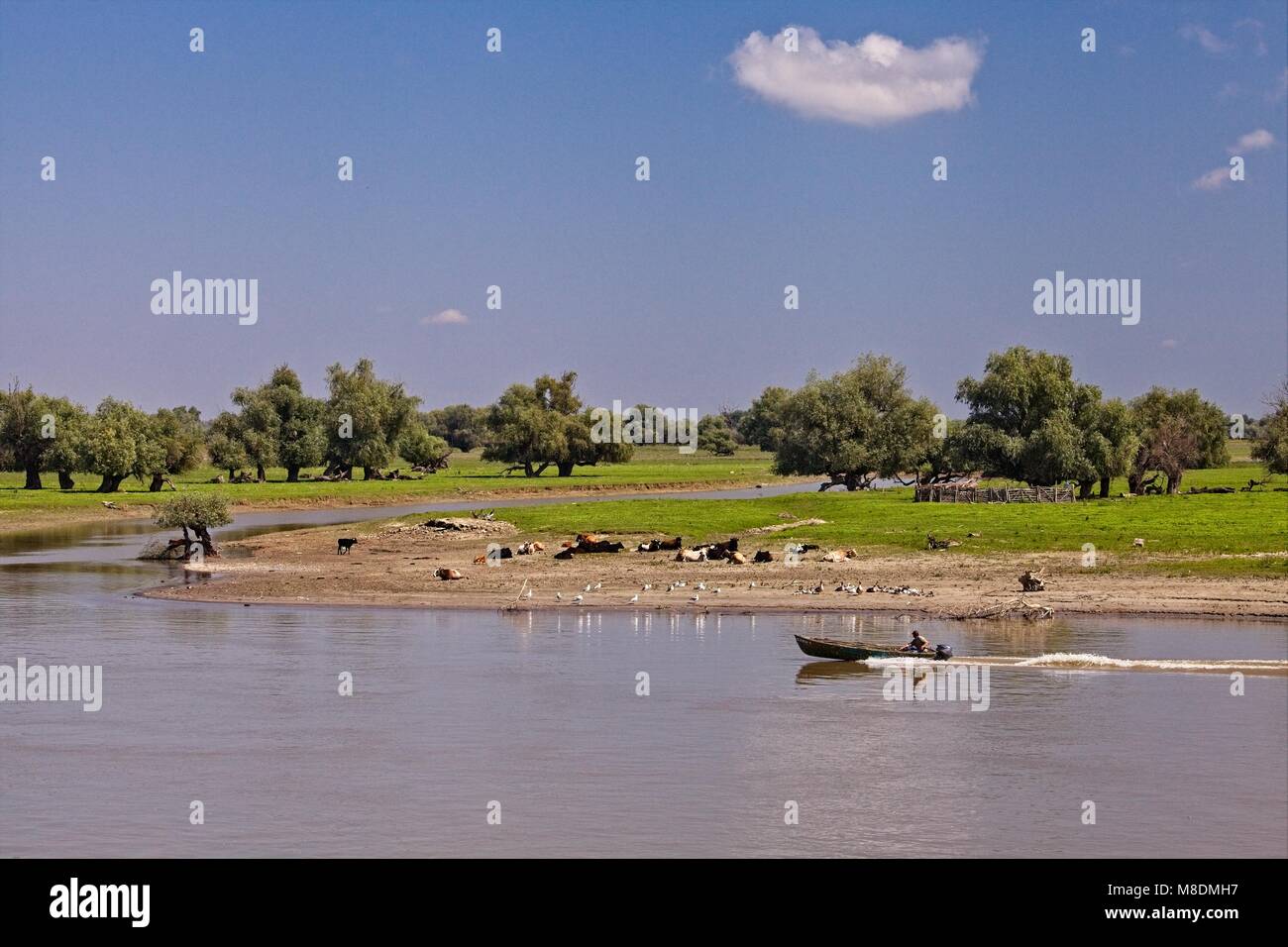 Danube river delta hi-res stock photography and images - Alamy