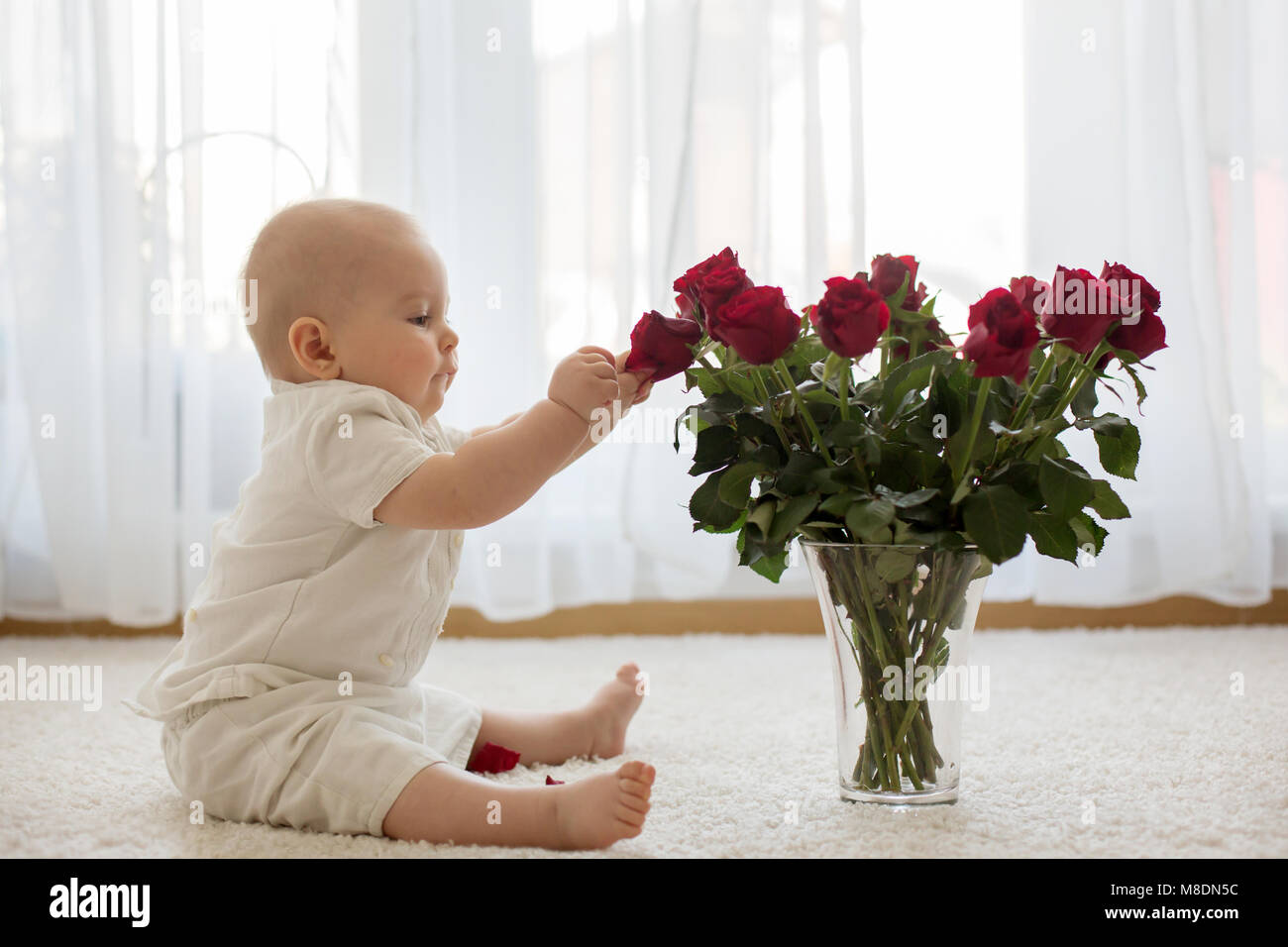 Cute Baby Photos With Red Roses