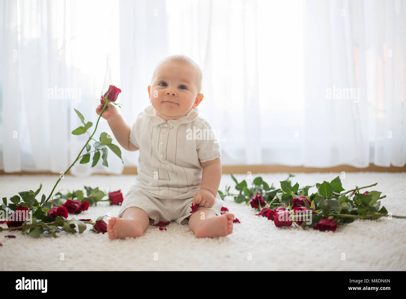 Little cute baby toddler boy, sitting with roses for mom for Mother's ...
