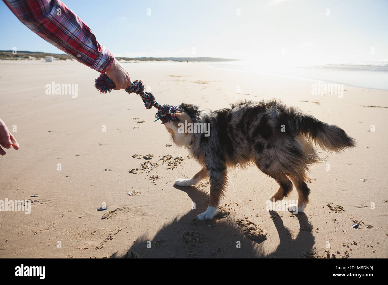Biting rope hi-res stock photography and images - Alamy