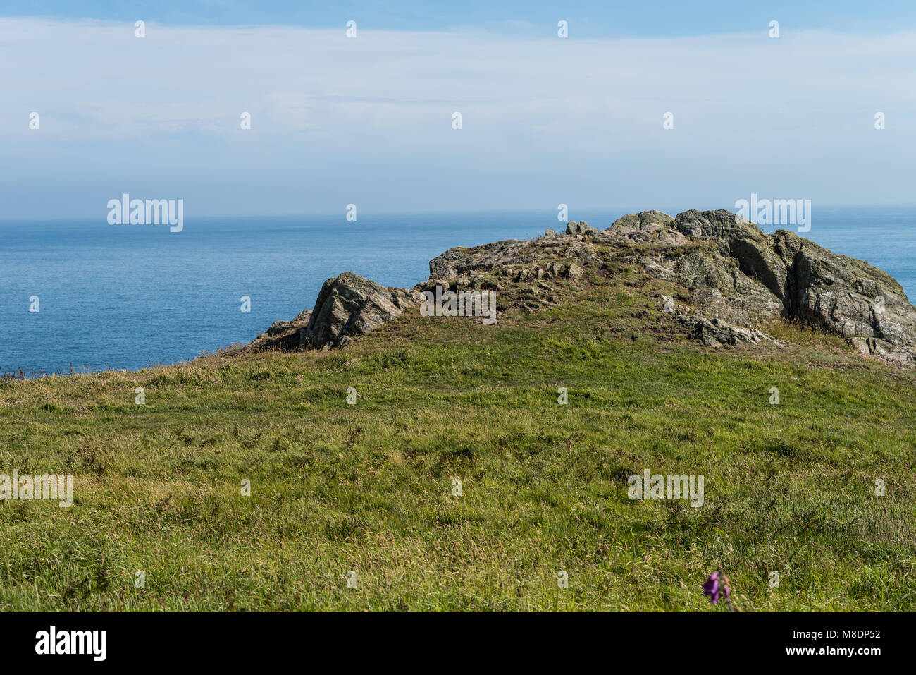 Bolt Tail High Resolution Stock Photography and Images - Alamy