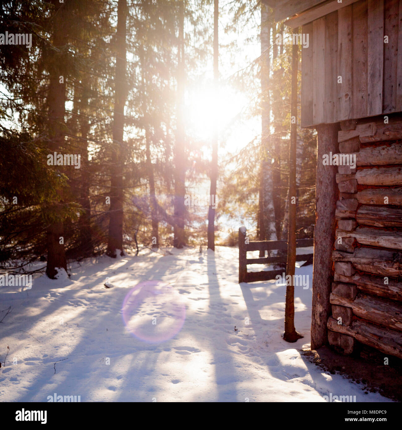 Log cabin, Ural, Sverdlovsk, Russia Stock Photo - Alamy