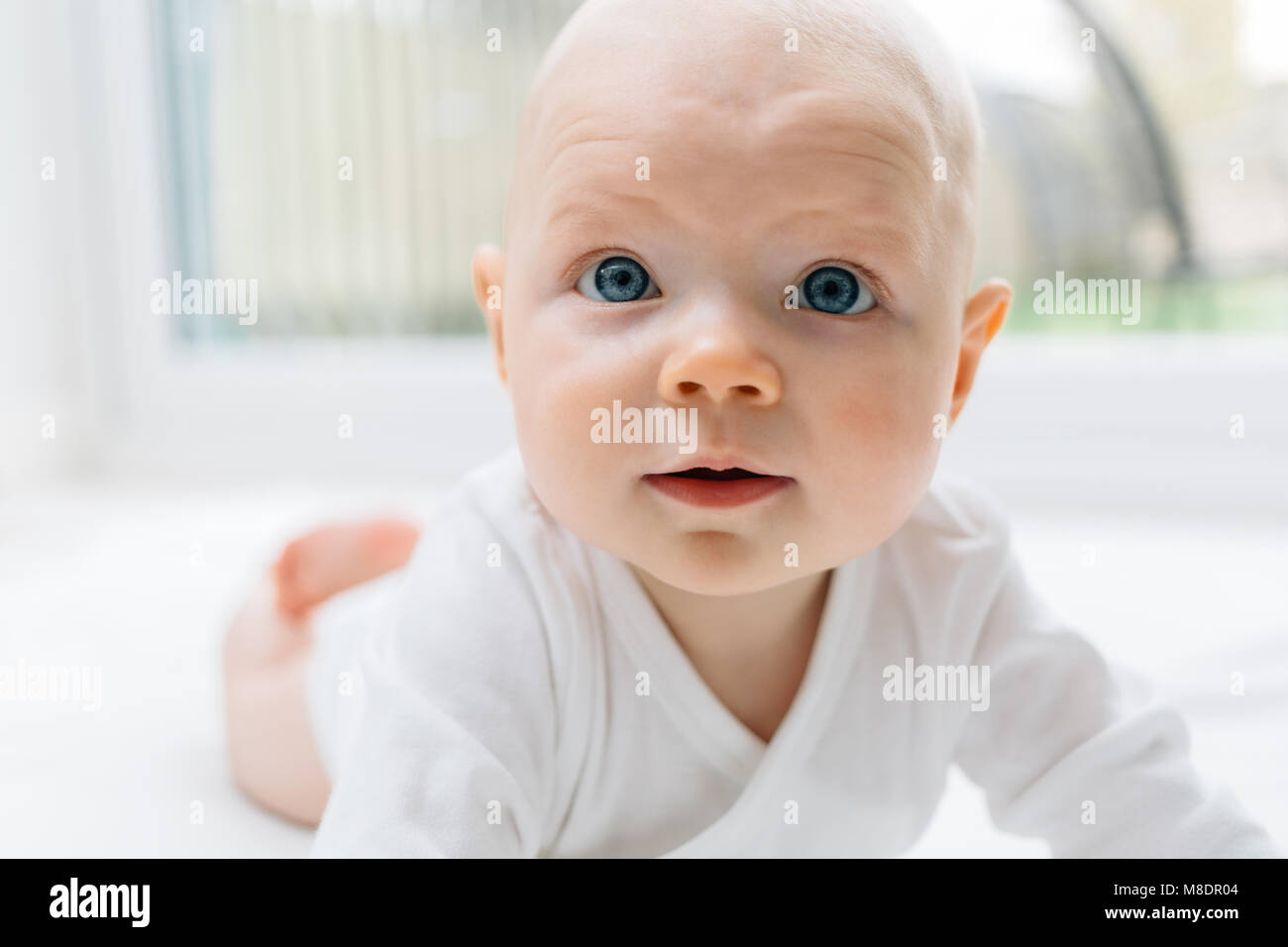 Crawling baby girl looking at camera Stock Photo - Alamy