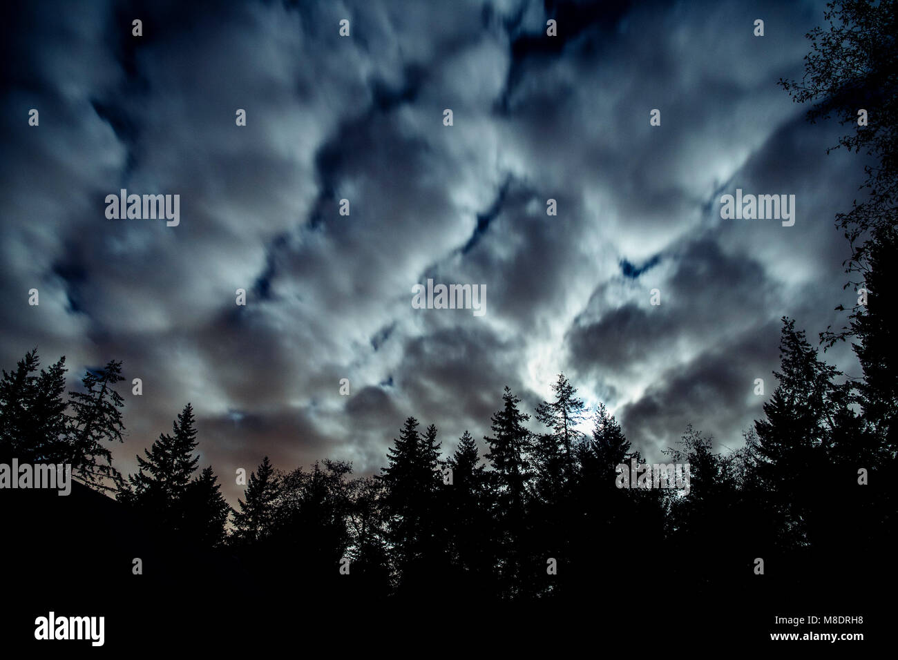Clouds over trees hi-res stock photography and images - Alamy