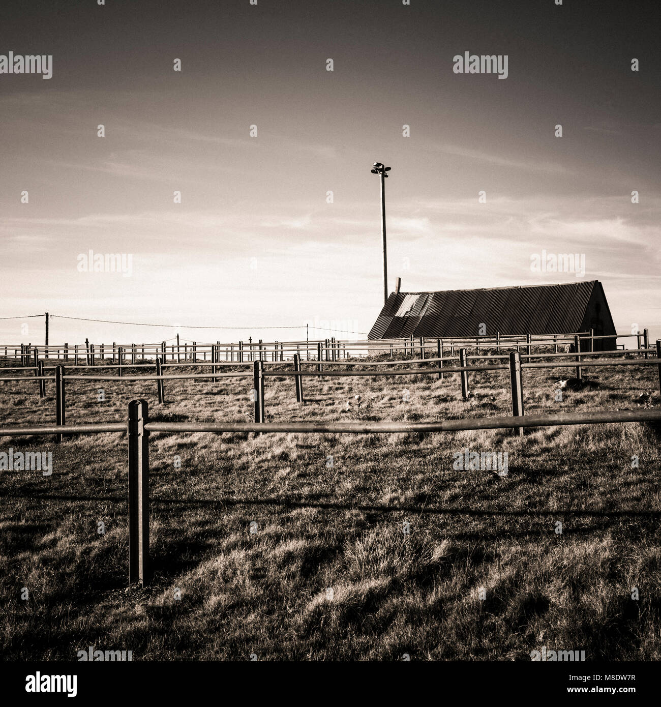 Fairgrounds hi-res stock photography and images - Alamy