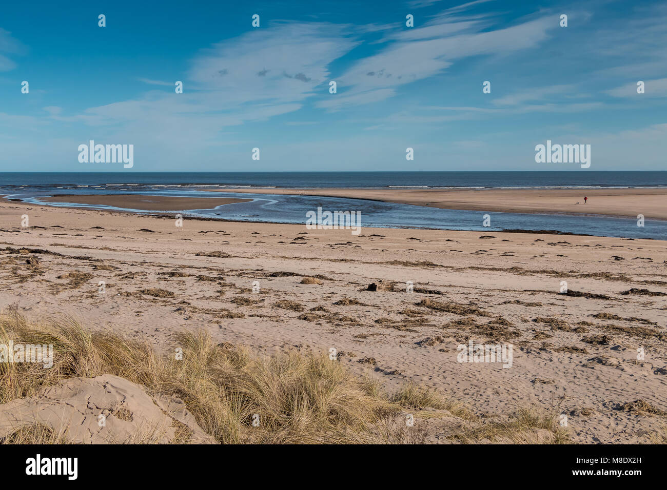 The river Aln estuary at low tide, Alnmouth, Northumberland Coast AONB ...