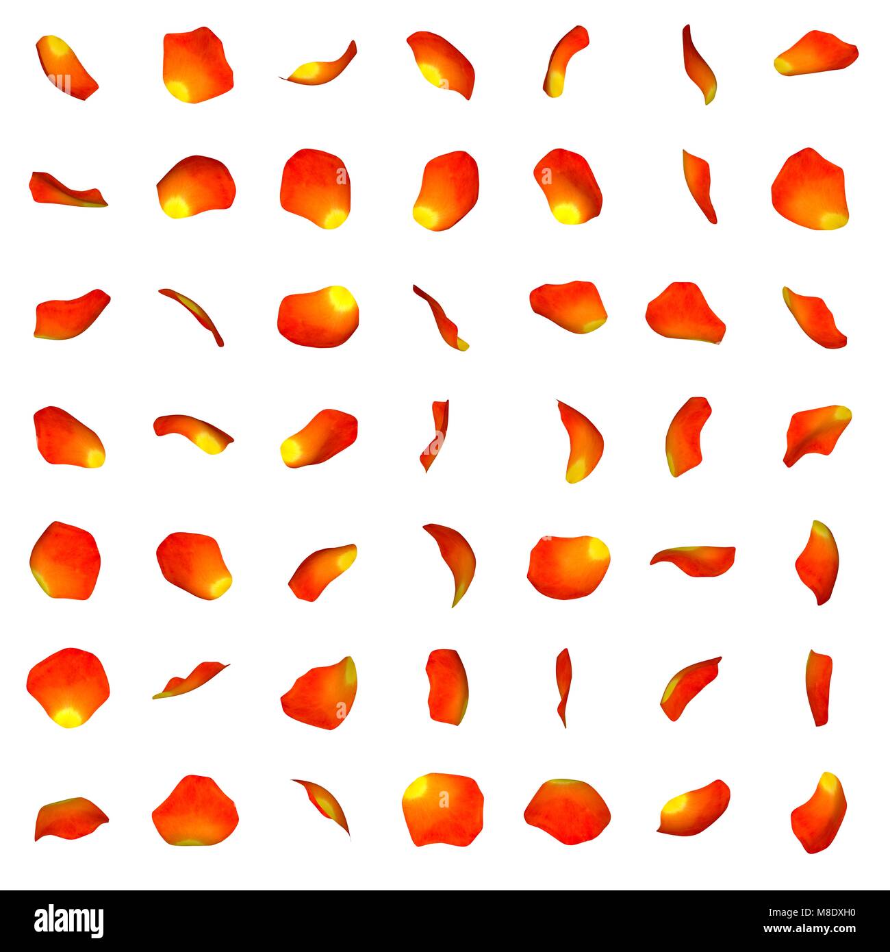 A big set of orange rose petals in different angles. White isolated ...
