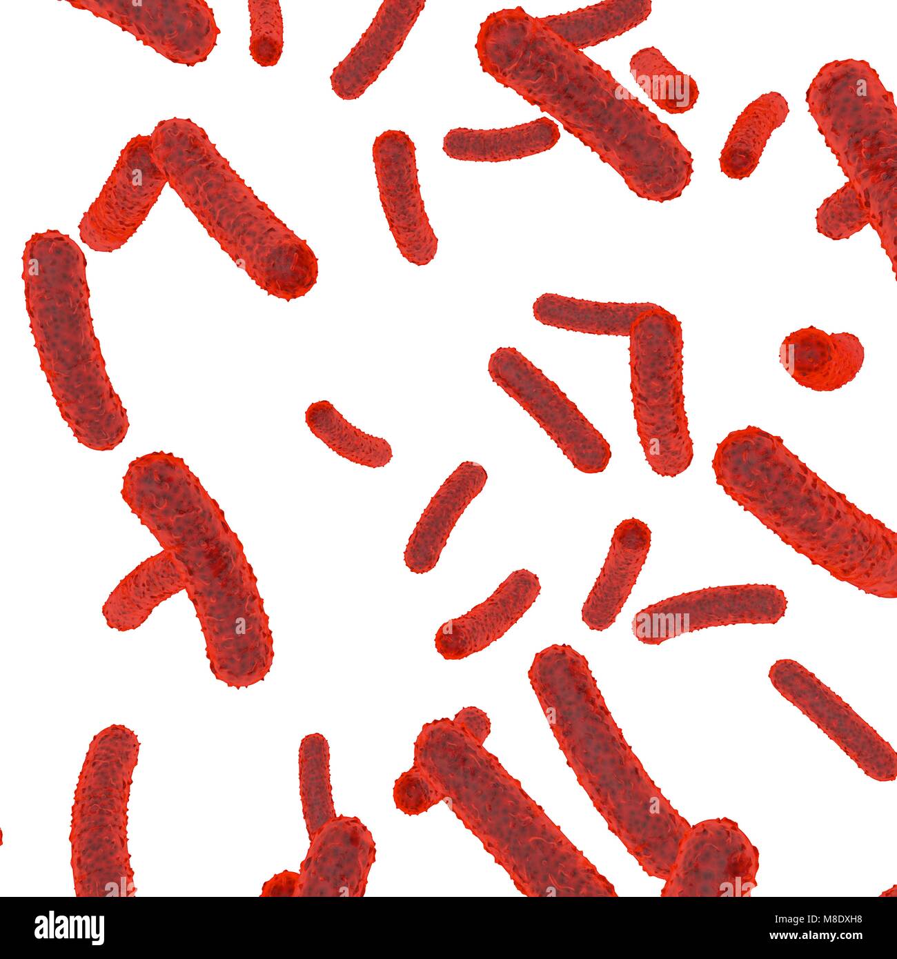 Red bacteria inside the body on a white isolated background. 3d ...