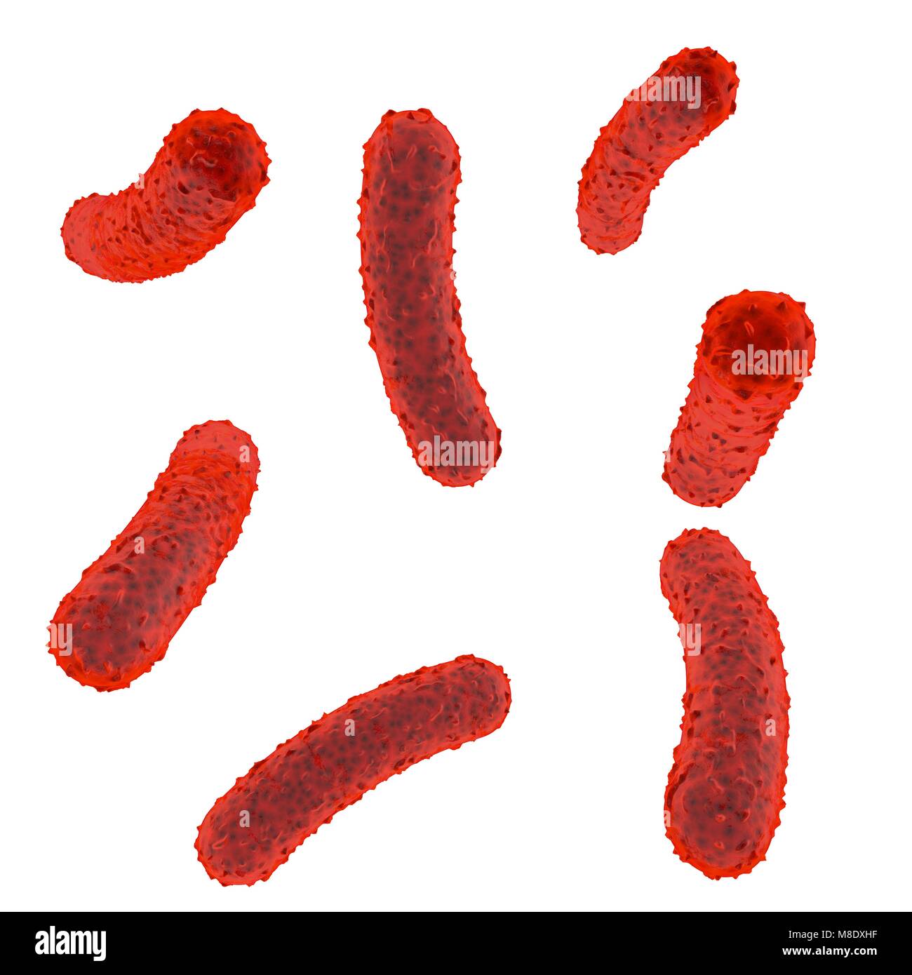 Red bacteria inside the body on a white isolated background. 3d ...