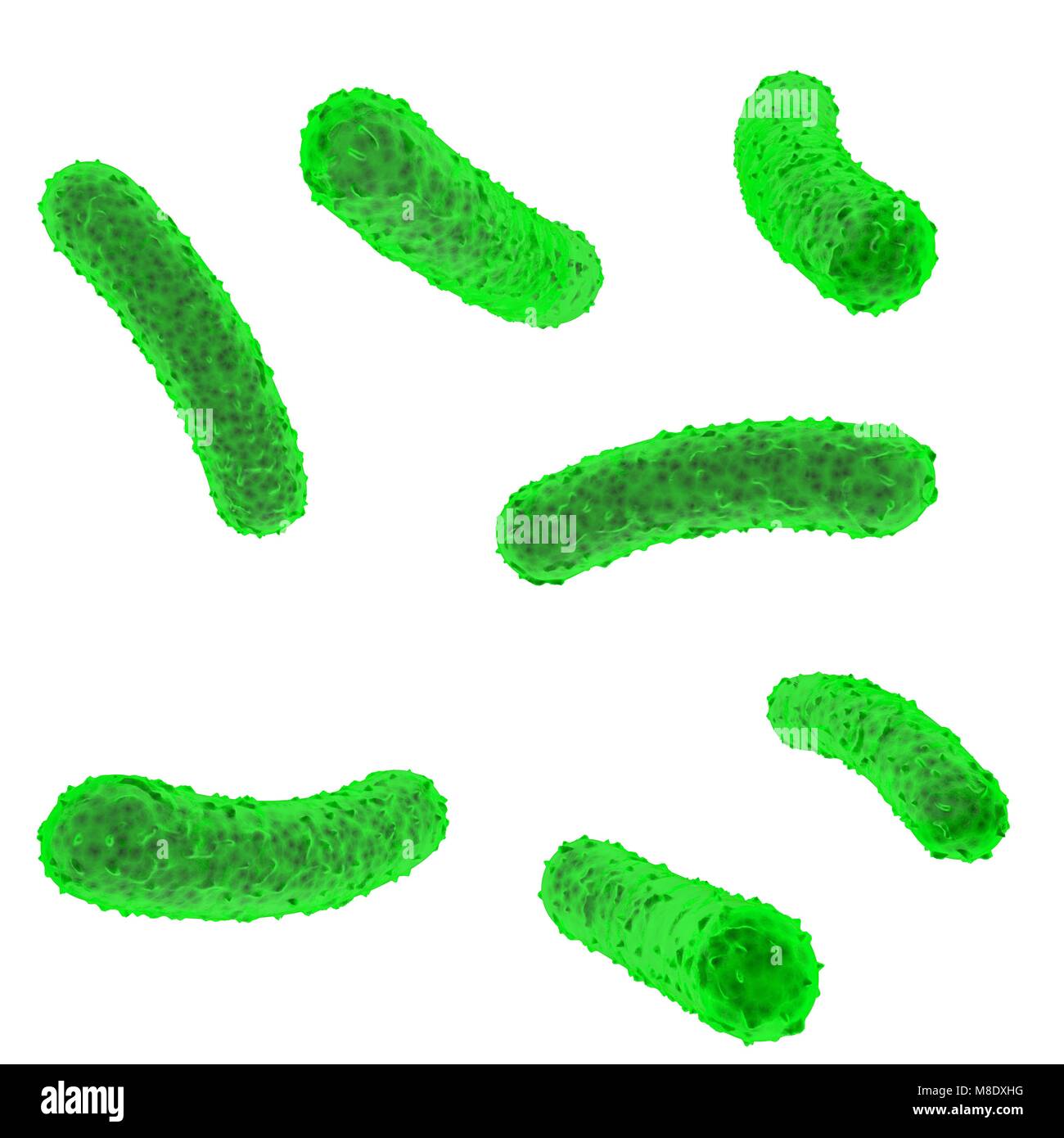 Green bacteria inside the body on a white isolated background. 3d ...