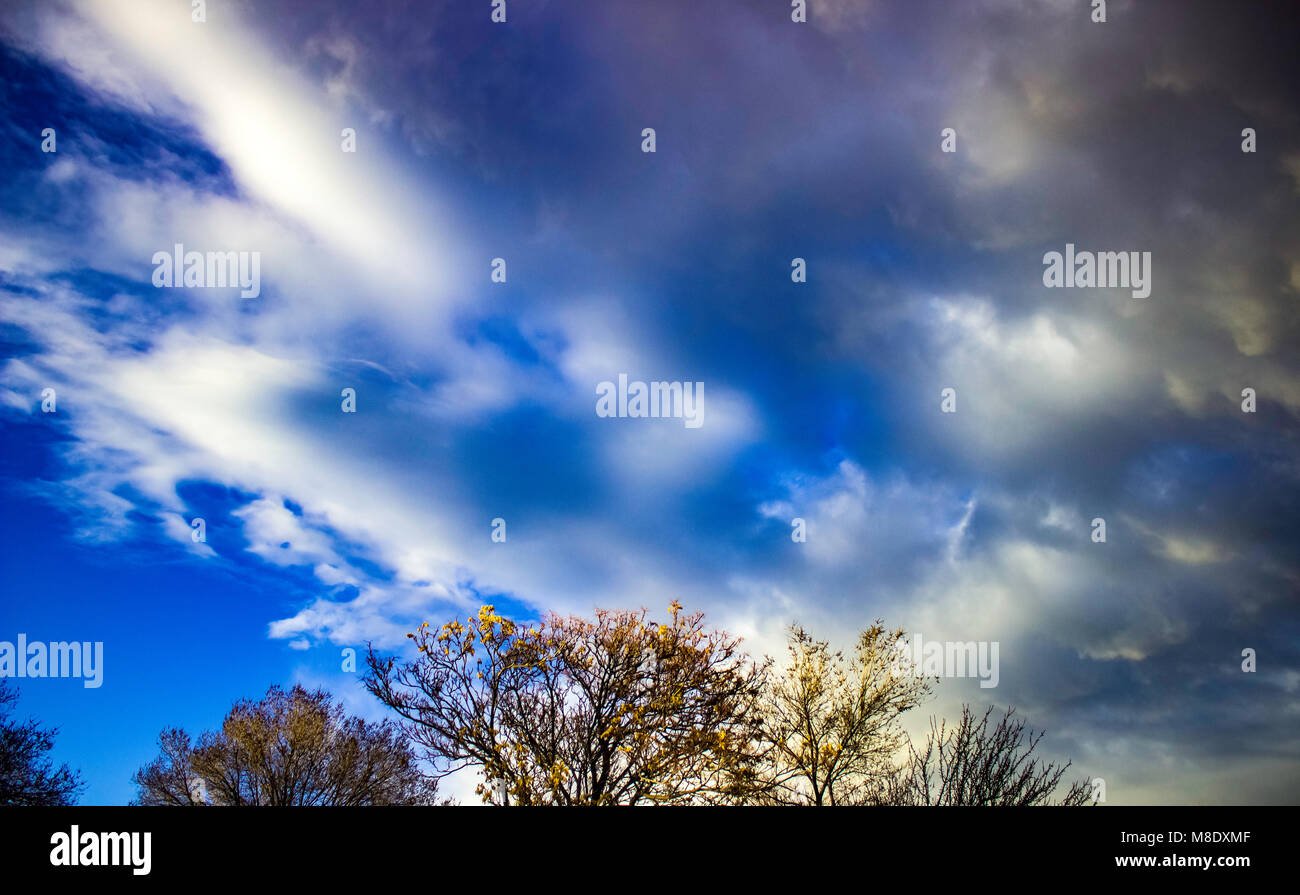 Sky rises above the treetops. Blue sky with gray and white clouds Stock ...