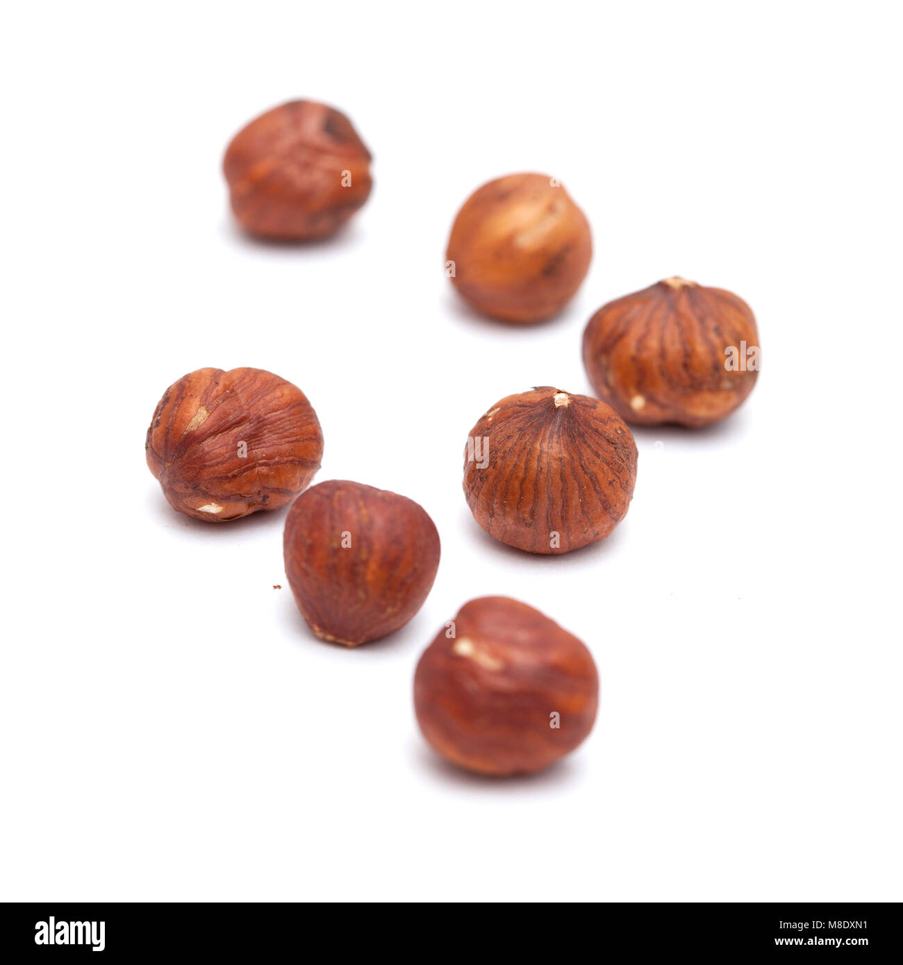 shelled roasted hazelnuts isolated on white background Stock Photo - Alamy
