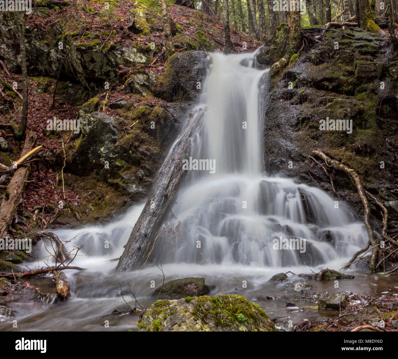 Small, hidden St. Paddy's Falls, near Bocabec and St. Andrews, New ...