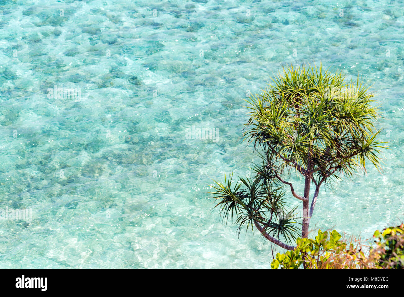Top view of transparent shallow turquoise ocean sea water surface and ...