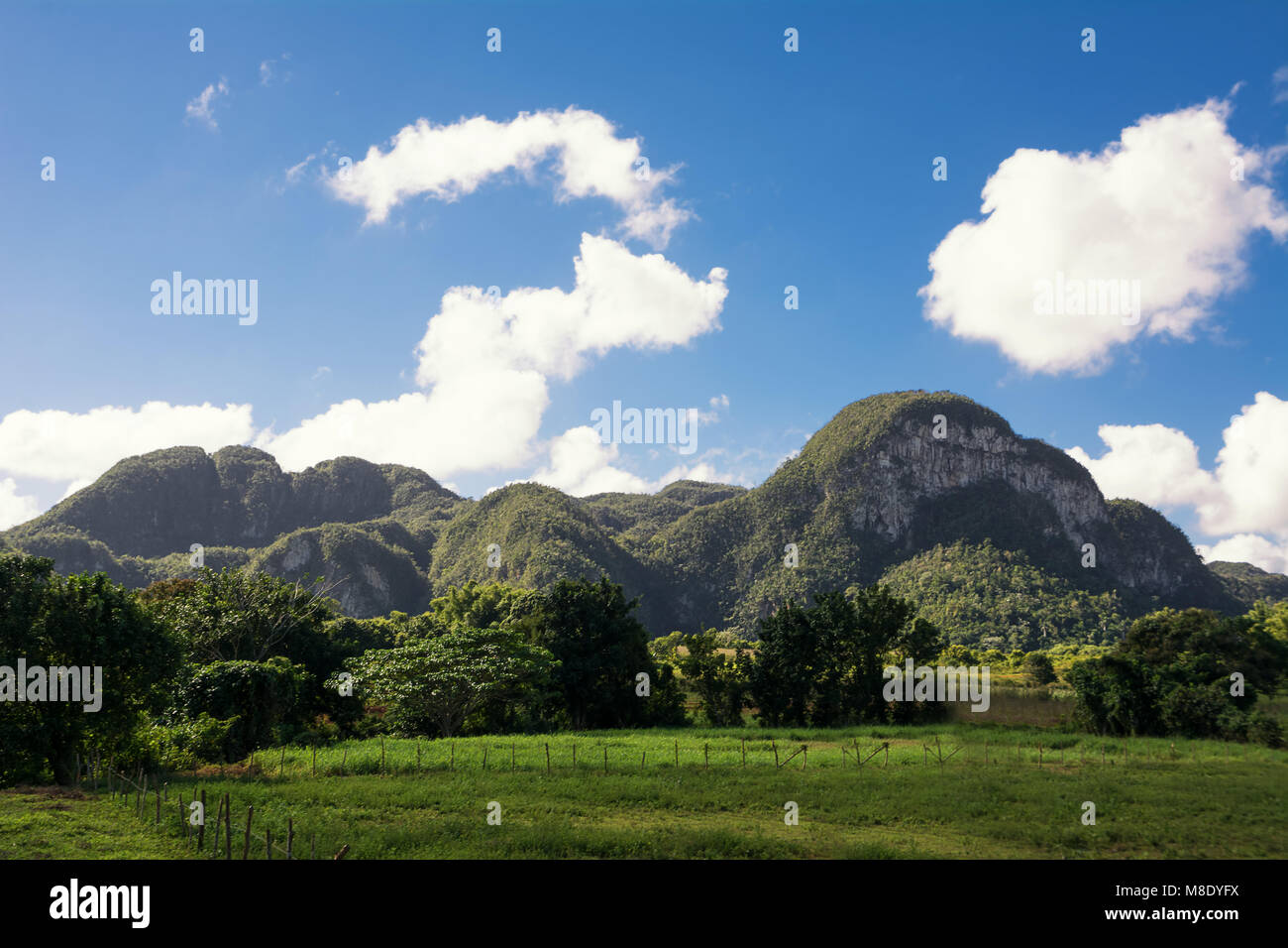 Panorama of the Vinales Valley with the Mogotes Stock Photo - Alamy