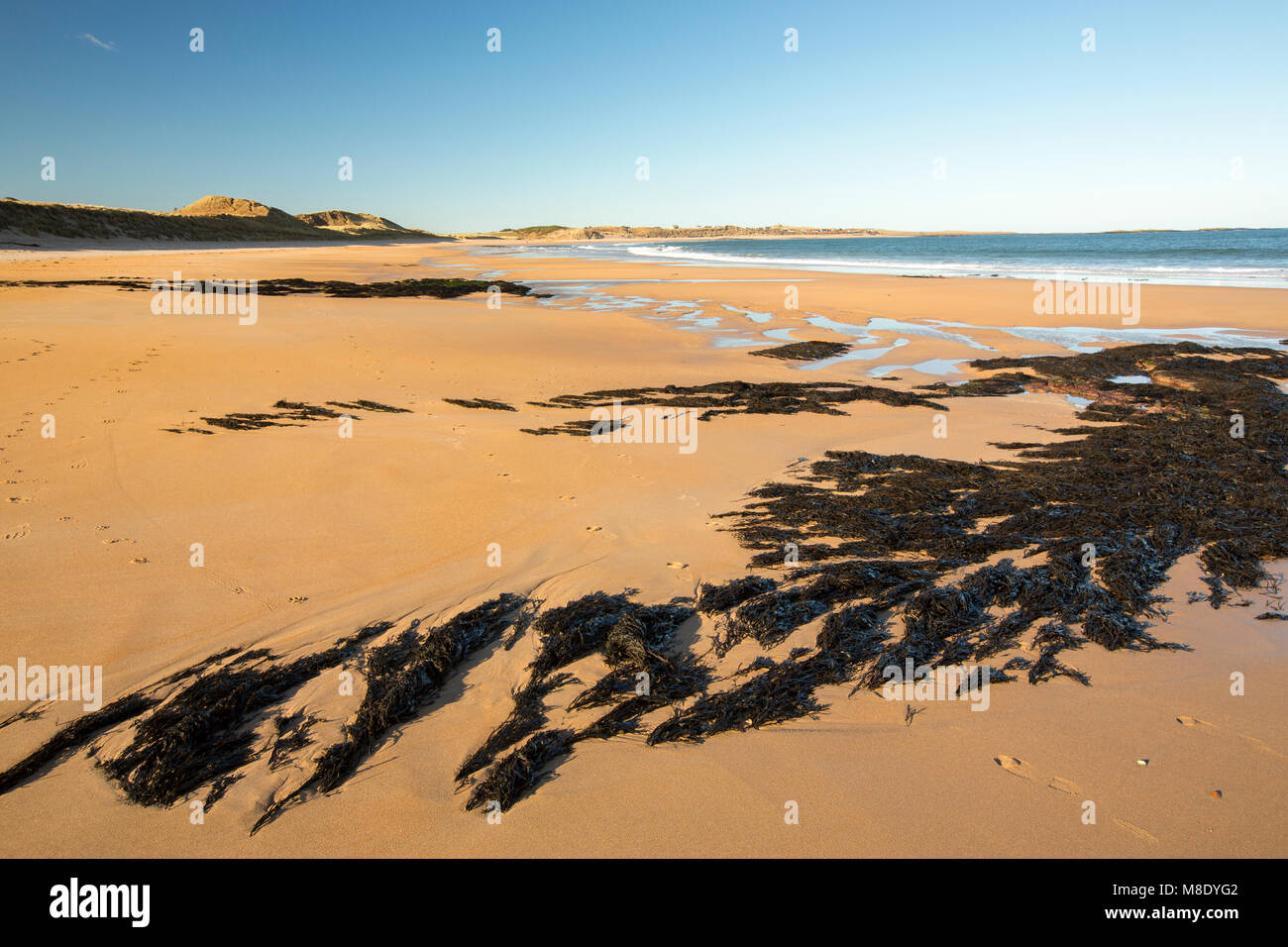 Beach between Low Newton and Craster in Northumberland, UK Stock Photo ...