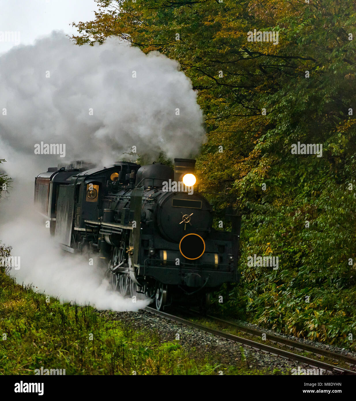 steam locomotive in autumn forest at Fukushima Japan Stock Photo - Alamy
