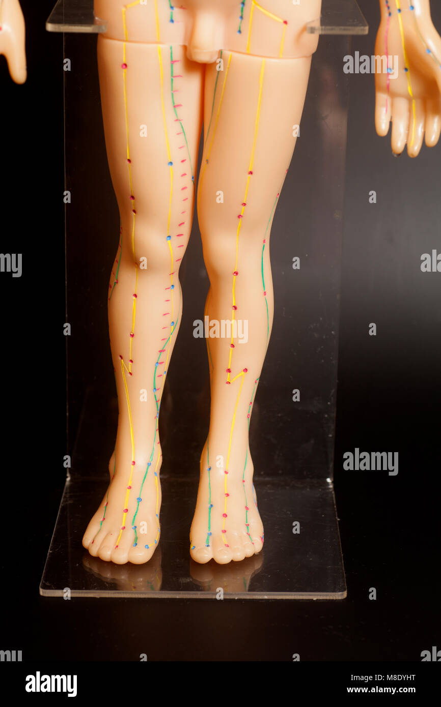 Medical acupuncture model of human on black background Stock Photo - Alamy