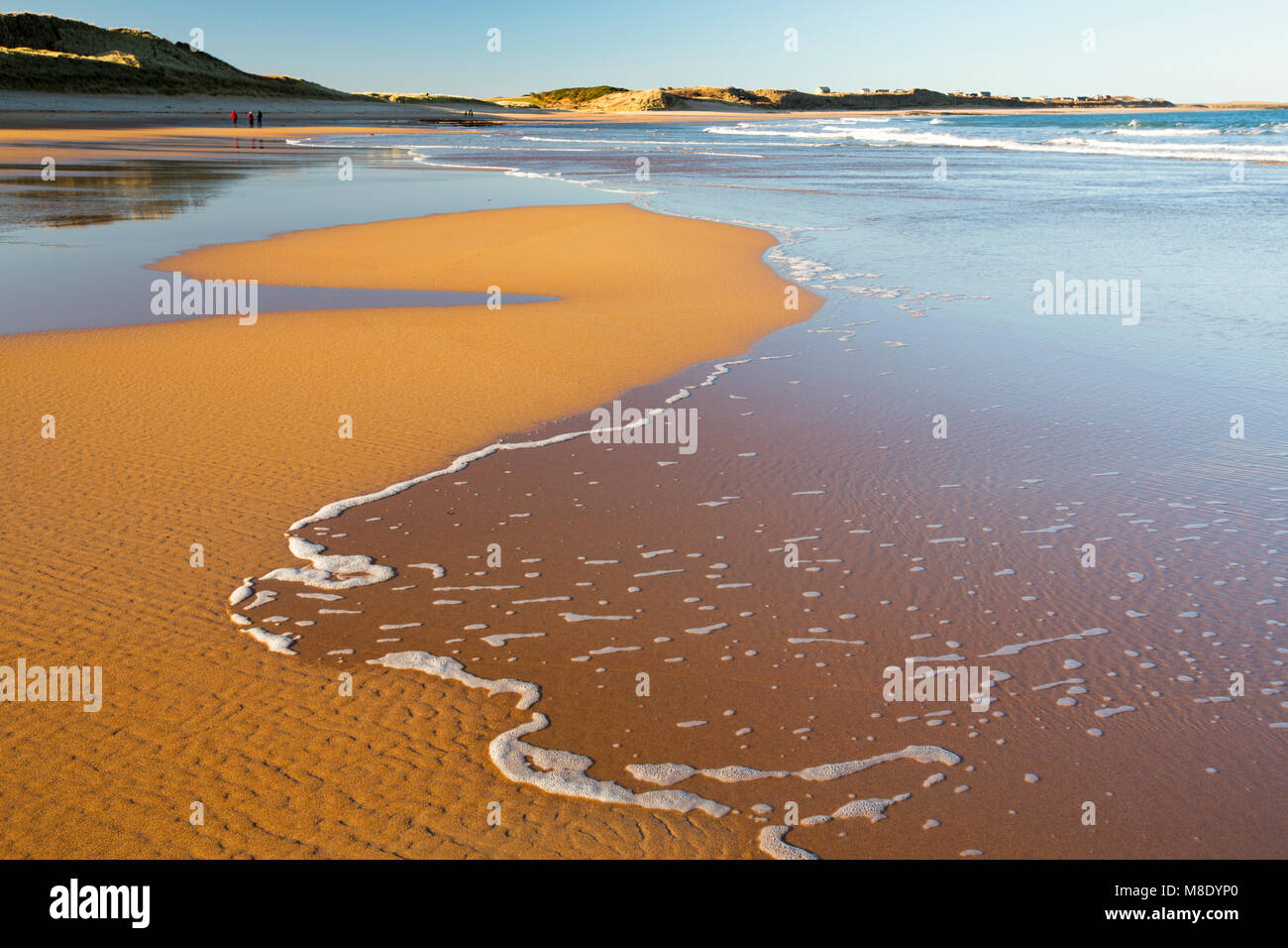 A wave creeping up the beach between Low Newton and Craster in ...