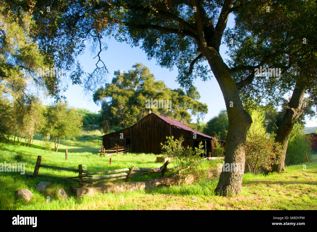 Daley ranch hi-res stock photography and images - Alamy