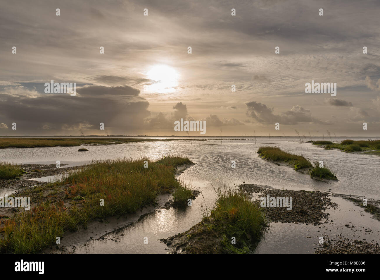 North Sea island of Mandø, UNESCO world natural heritage, Ribe, Jutland ...