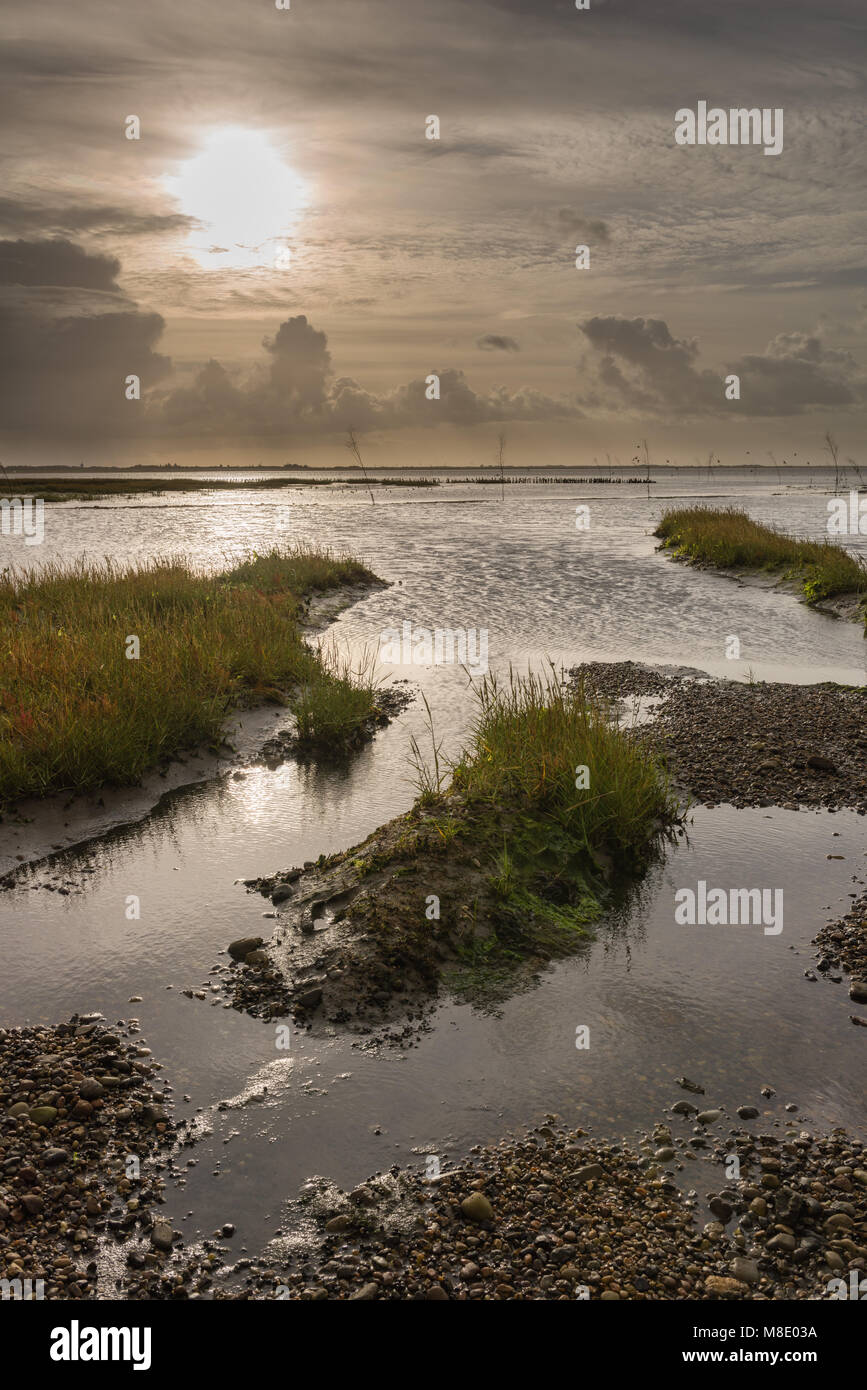 North Sea island of Mandø, UNESCO world natural heritage, Ribe, Jutland ...