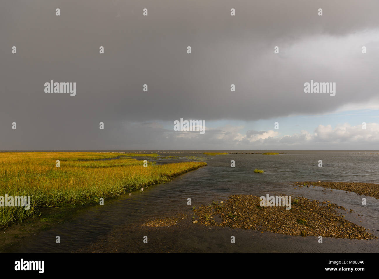 North Sea island of Mandø, UNESCO world natural heritage, Ribe, Jutland ...
