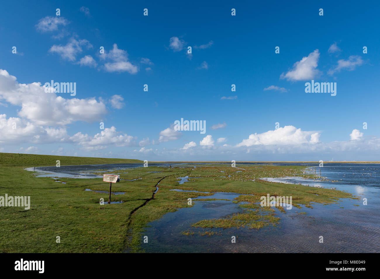 North Sea island of Mandø, UNESCO world natural heritage, Ribe, Jutland ...