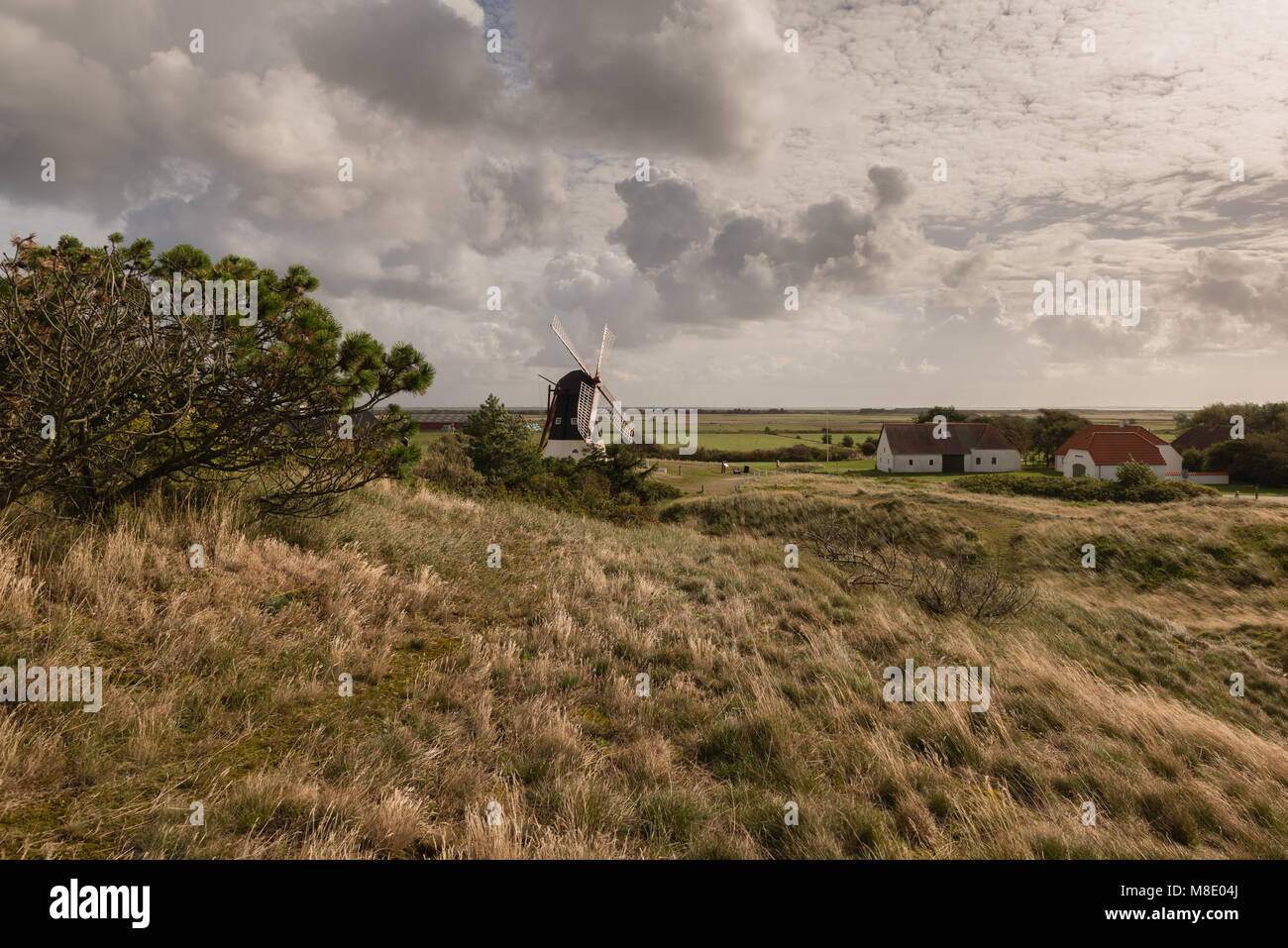 North Sea island of Mandø, UNESCO world natural heritage, Ribe, Jutland ...
