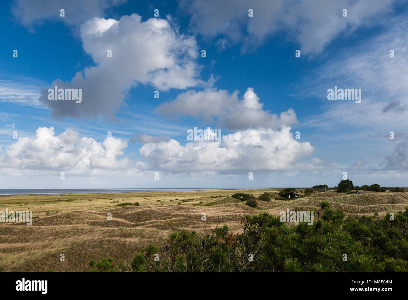 North Sea island of Mandø, UNESCO world natural heritage, Ribe, Jutland ...