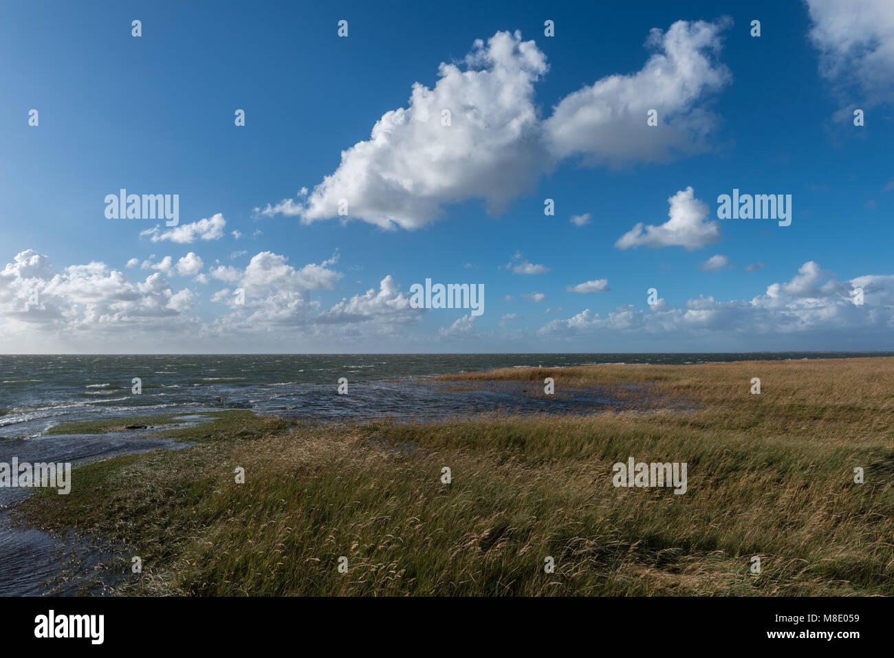 North Sea island of Mandø, UNESCO world natural heritage, Ribe, Jutland ...