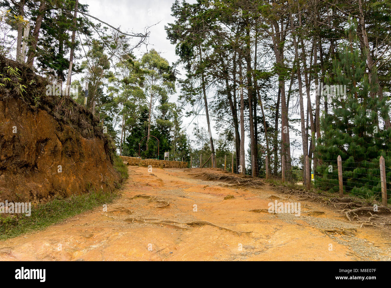 Arvi Park's Natural Landscapes in Medellin Stock Photo - Alamy