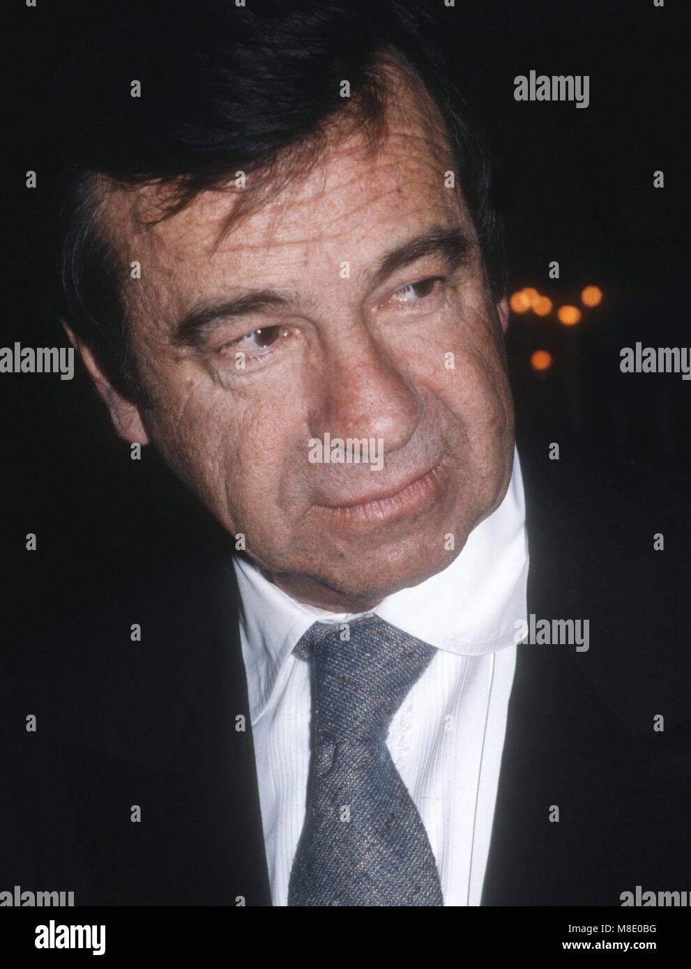 Walter Mattheu 1978 Photo By Adam Scull/PHOTOlink.net Stock Photo - Alamy