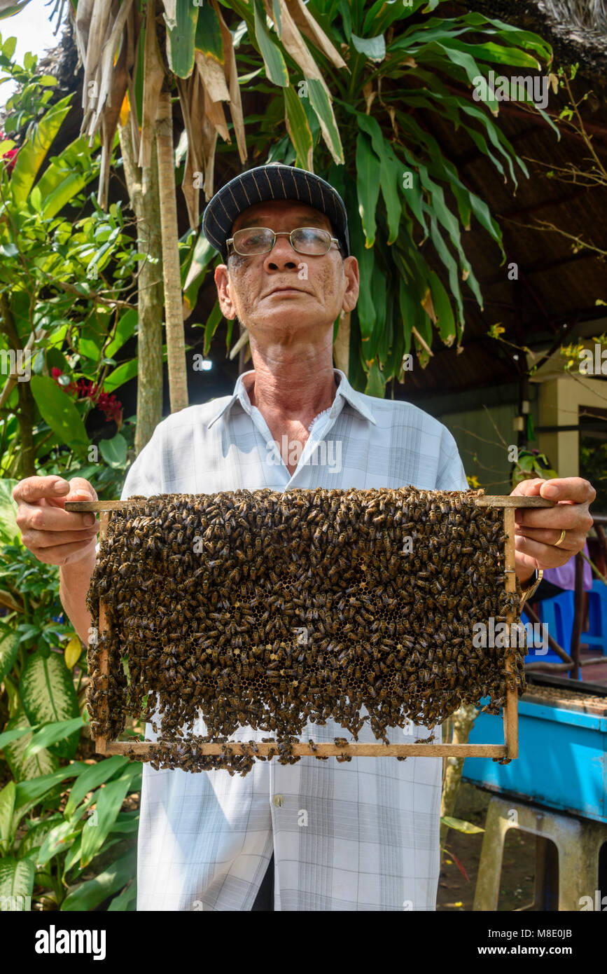 Man covered in bees hi-res stock photography and images - Alamy