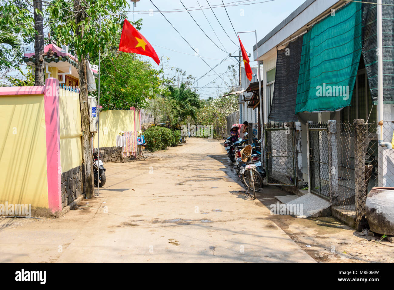 Vietnamese flags flying on a rural road on the Meekong Delta, Vietnam ...