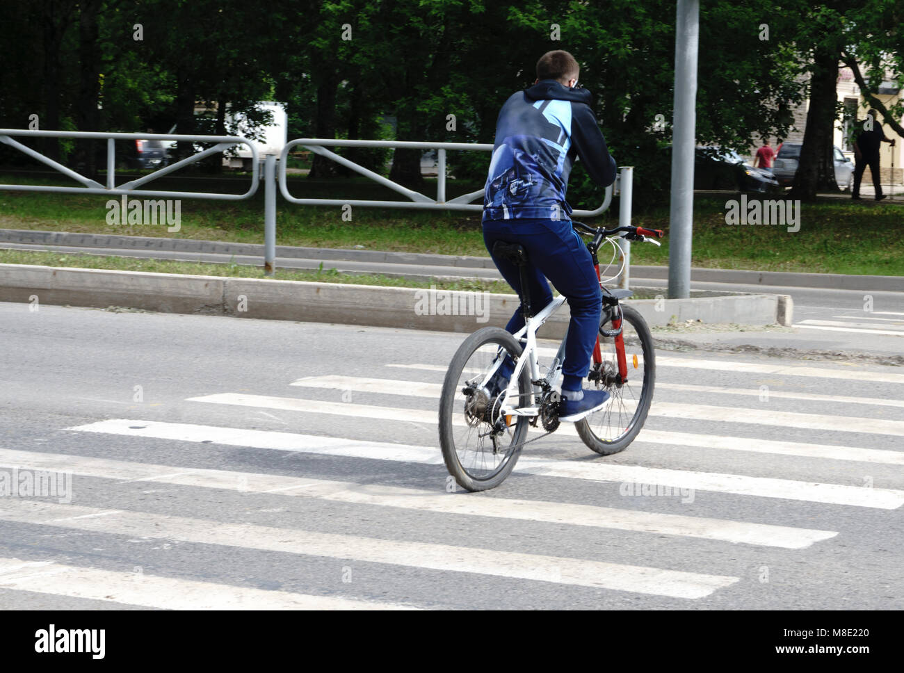bicycles are used as transport. Cross Zebra Stock Photo - Alamy